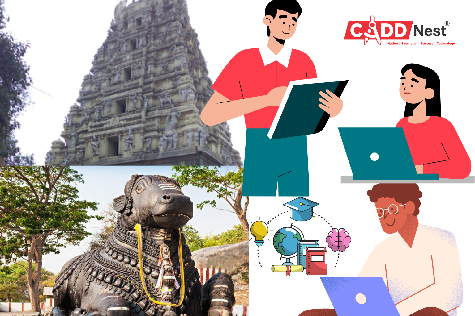 Discovering Basavanagudi: Bangalore's Timeless Heart and the Ultimate ...